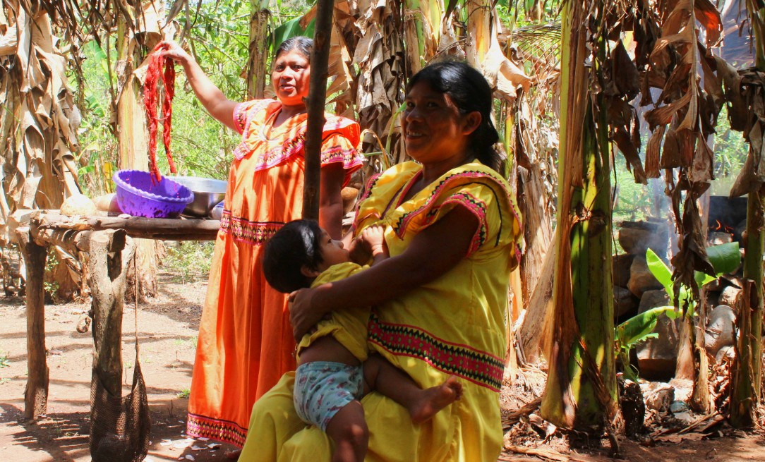 Pre-Columbian Cultures (8 days) – DynamoTravel